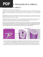 Análisis Forense de Pelos y Fibras | PDF | Pelo | Tallo de la planta