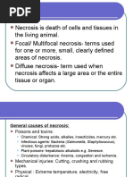 Types of Necrosis and Infarct | PDF | Necrosis | Ischemia
