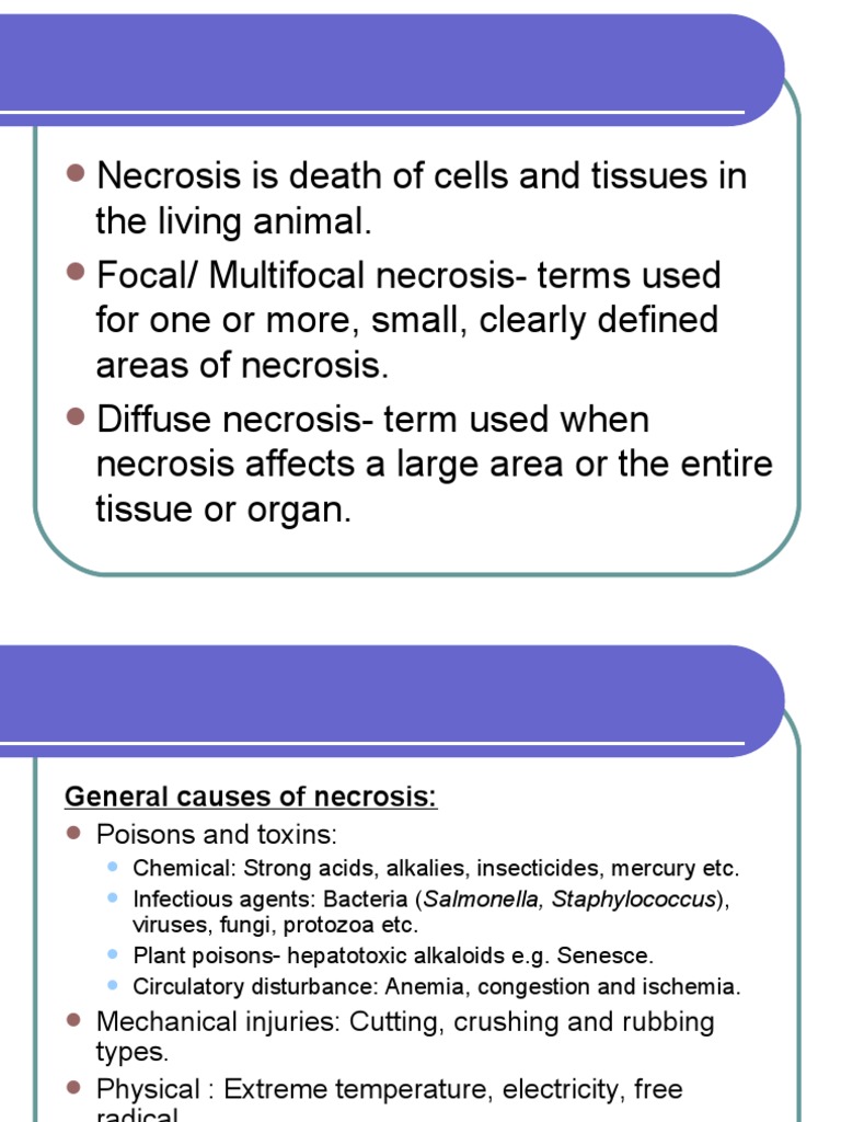 Necrosis | PDF | Necrosis | Pancreas