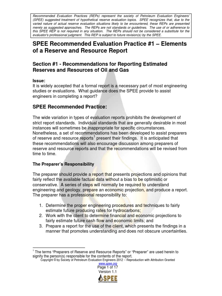 Rep01 - Reserve Report Contents v1.1 Final | PDF | Financial Accounting ...