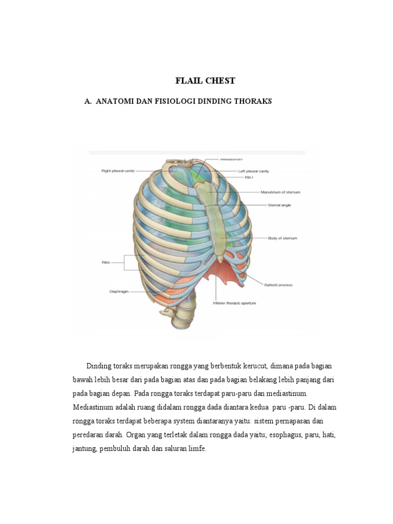 Flail Chest | PDF