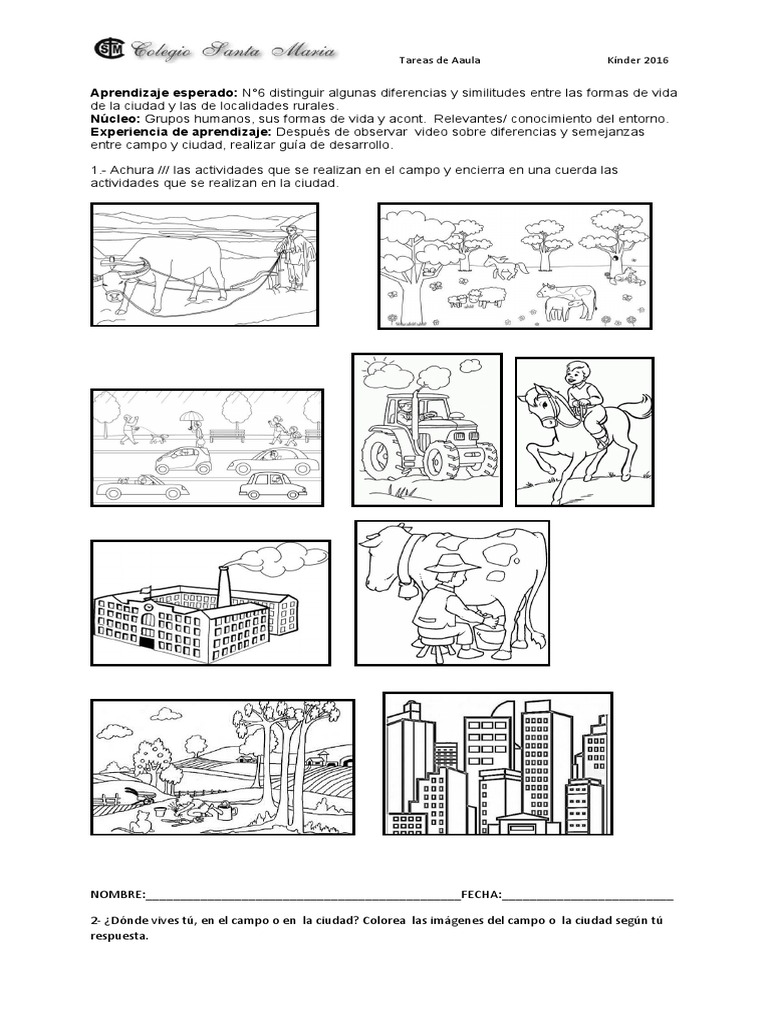 Campo y Ciudad | PDF