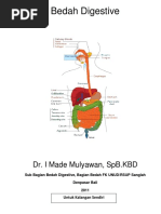 Anatomi Lengkap Esofagus | PDF