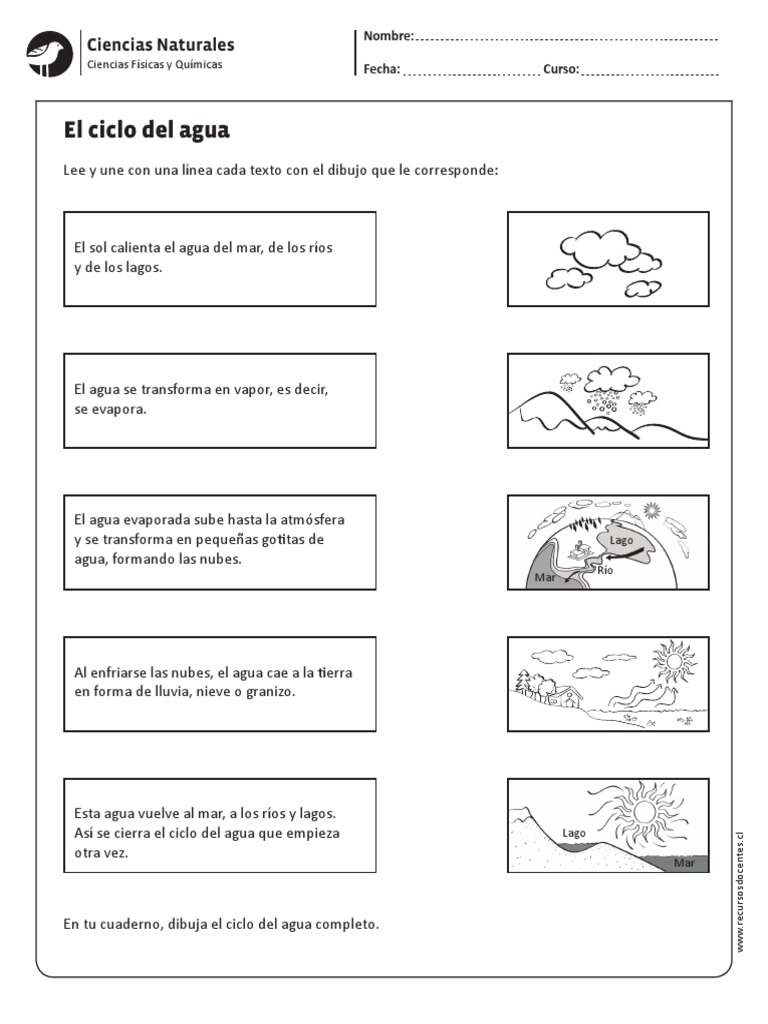Ficha El Ciclo Del Agua | PDF