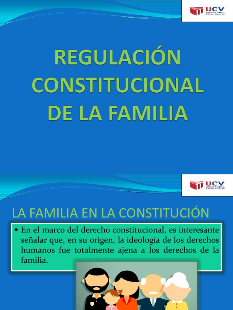 Regulacion Const. de La Familia | PDF | Familia | Constitución