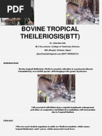 Locating Cattle and Sheep Injection Sites | PDF | Injection (Medicine ...