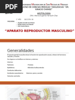 Anatomia Del Aparato Reproductor Del Perro Gine | PDF | Vagina ...