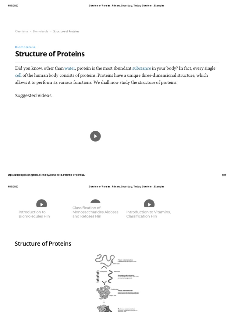 Protein Structure: Primary to Tertiary | PDF | Biomolecular Structure ...