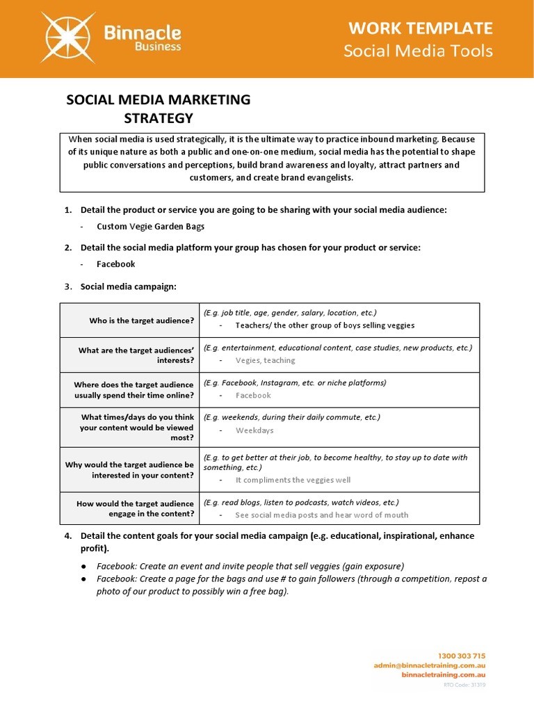 Social Media Marketing Strategy (1) - 2 PDF | PDF | Target Audience ...