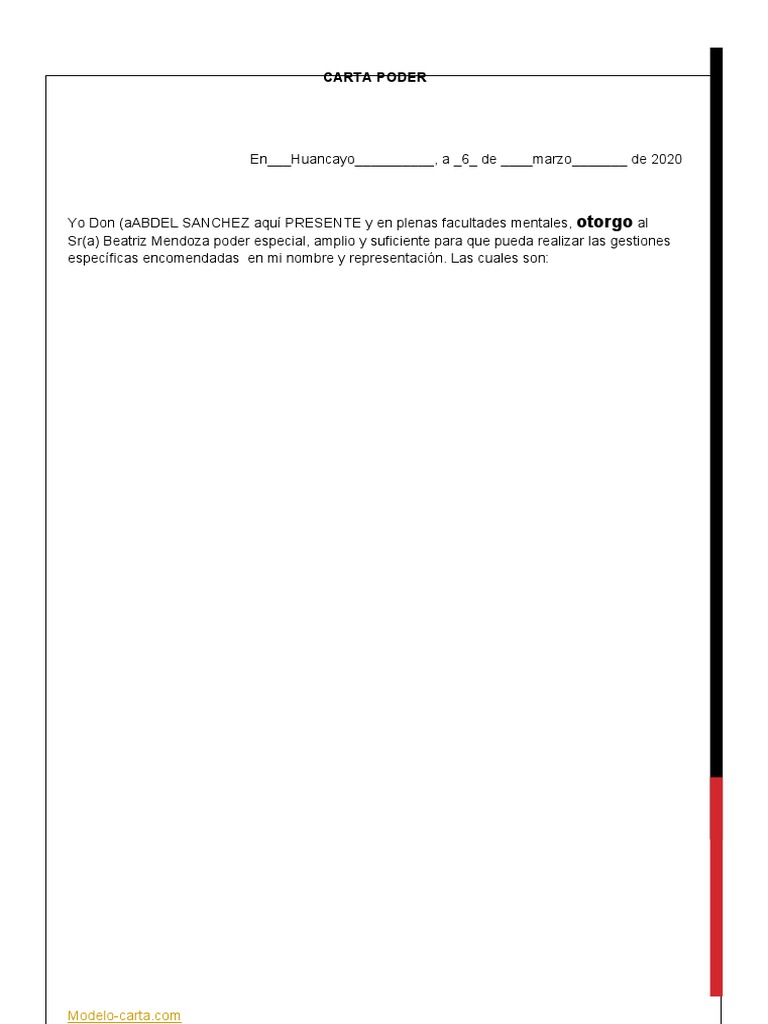 Carta Poder con Dos Testigos | PDF | Finanzas y dinero