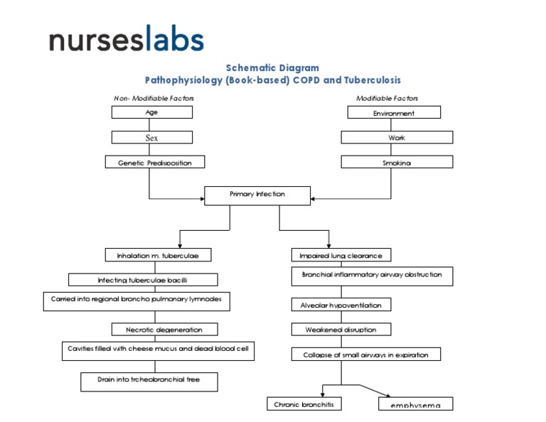 Schematic Diagram Pathophysiology (Book-Based) COPD and Tuberculosis | PDF