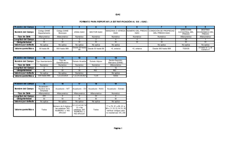 Formatos Del Reporte de Estratificacion IGAC PDF | PDF | Informática | Informática y tecnología ...