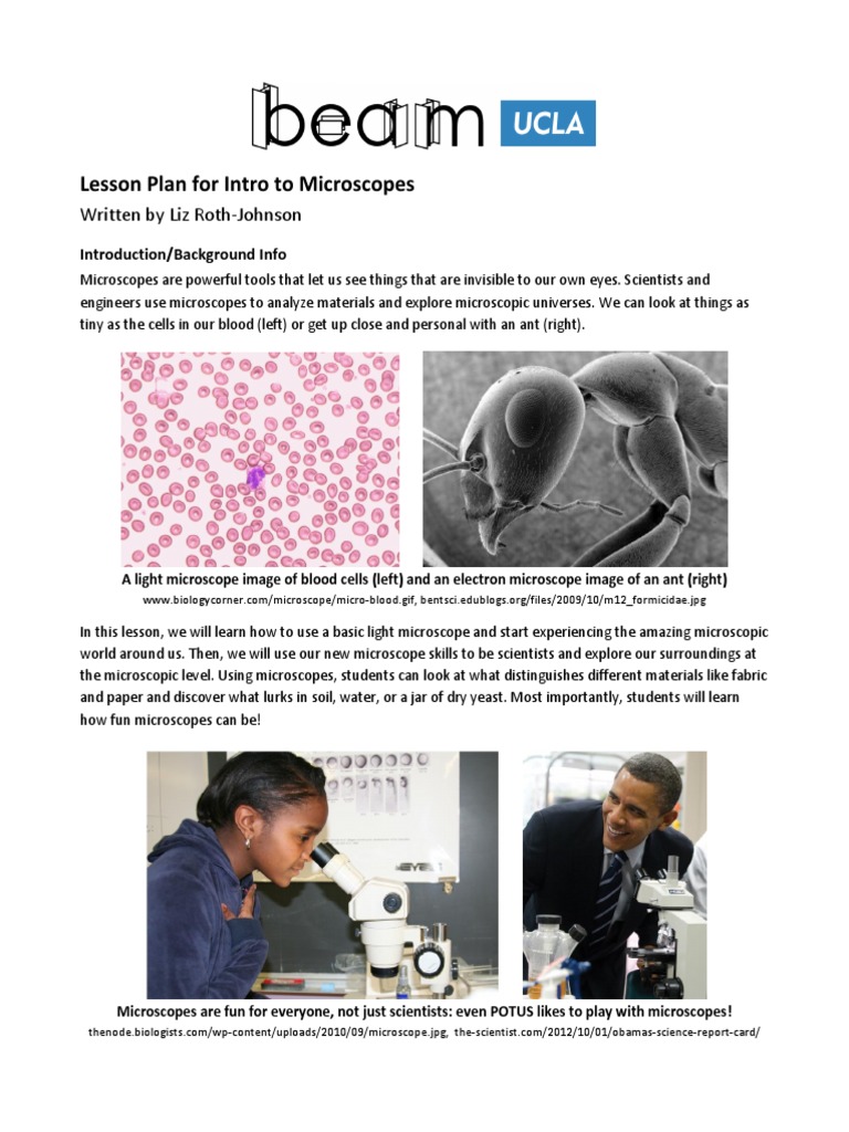 Lesson Plan For Intro To Microscopes: Written by Liz Roth-Johnson | PDF ...