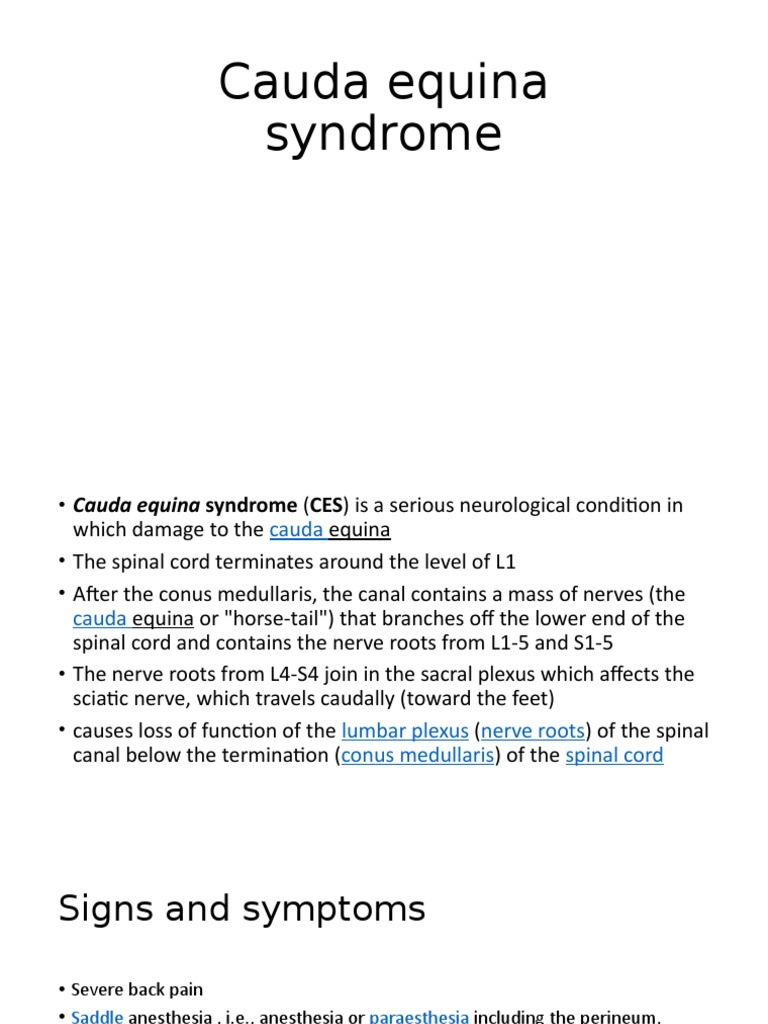 Cauda Equina Syndrome | PDF | Neurology | Neuroanatomy