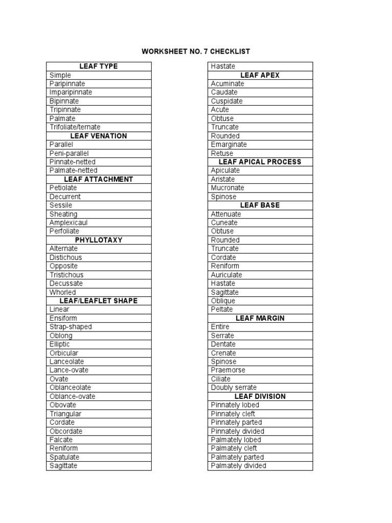 Leaf Identification Worksheet Checklist | PDF