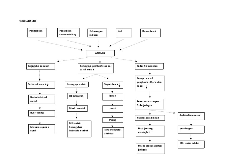 Woc Anemia | PDF