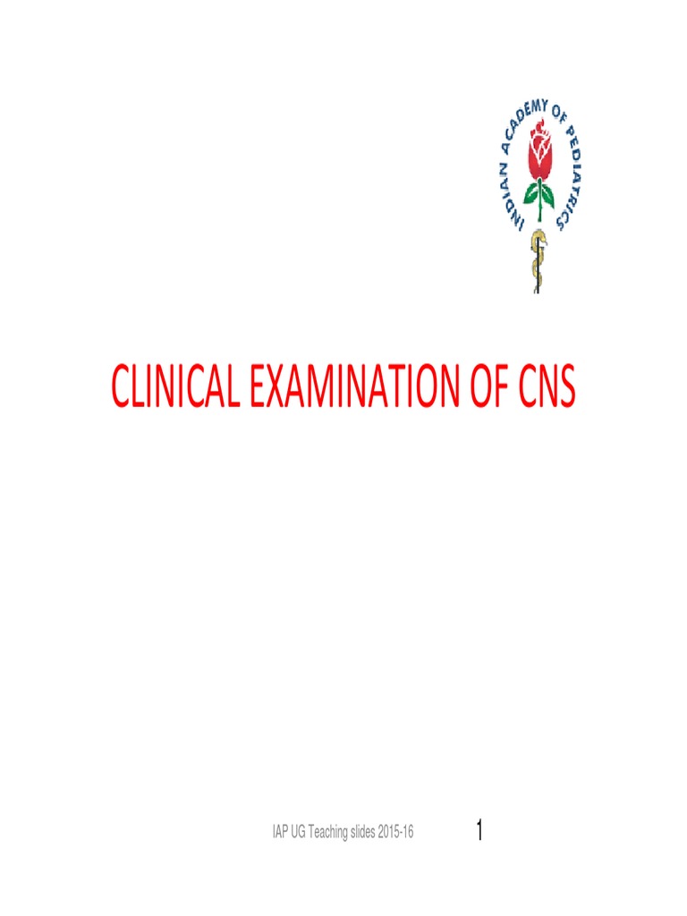 Examination of CNS PDF | PDF | Anatomical Terms Of Motion | Foot