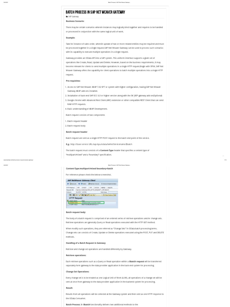 Batch Process in SAP Net Weaver Gateway | PDF | Hypertext Transfer Protocol | Application ...