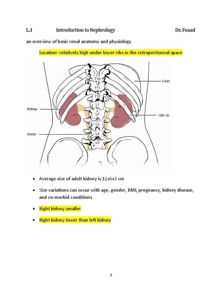 L.1 Introduction To Nephrology Dr. Foaad | PDF | Kidney | Physiology