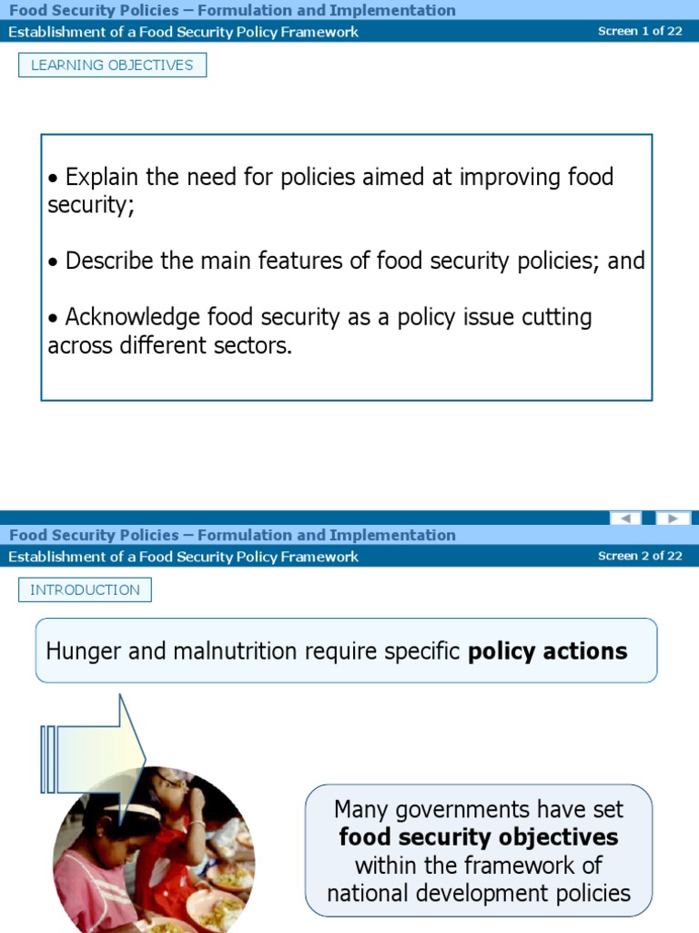Food Security Policy Framework Guide | PDF | Food Security | Foods