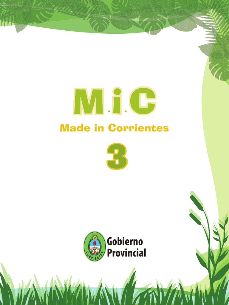 MIC3 | PDF