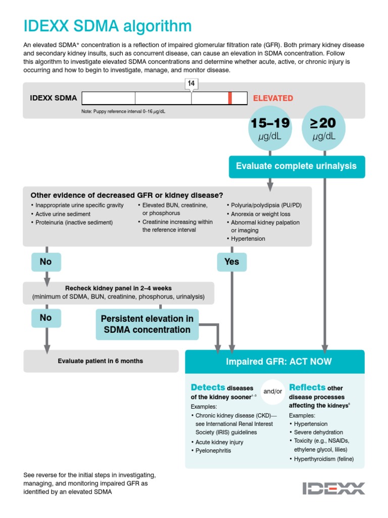 Idexx Sdma Test Algorithm PDF | PDF | Renal Function | Chronic Kidney ...