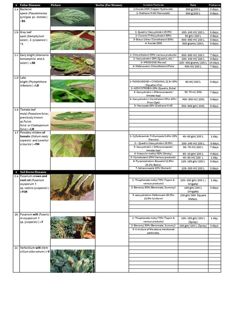 Tomato Pests and Disease Control Guide | PDF | Plants | Organisms