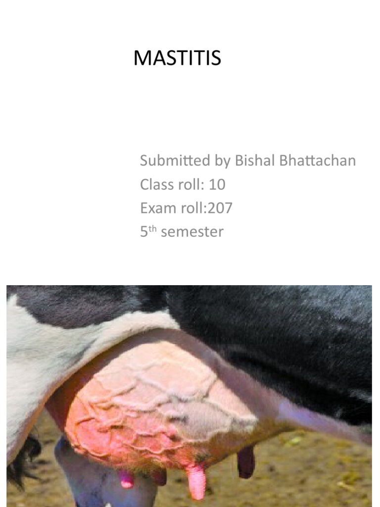 Mastitis Presented by Bishal Bhattachan | PDF | Medical Specialties ...
