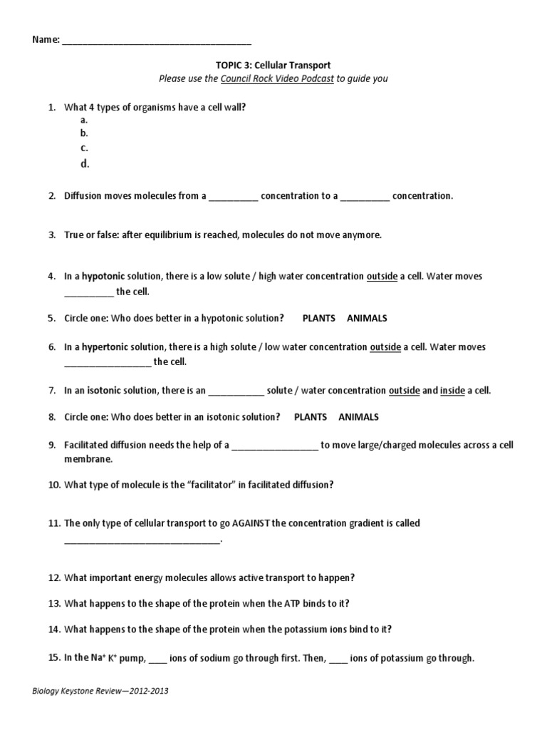 Cellular Transport Review Questions | PDF