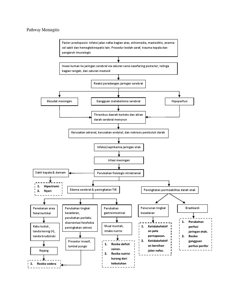 Pathway Meningitis | PDF