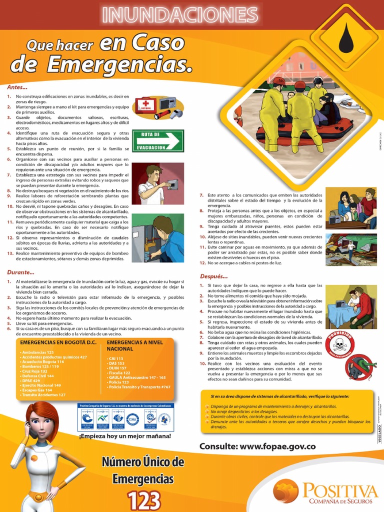 Afiche Prevencion de Emergencias Por Inundaciones PDF | PDF