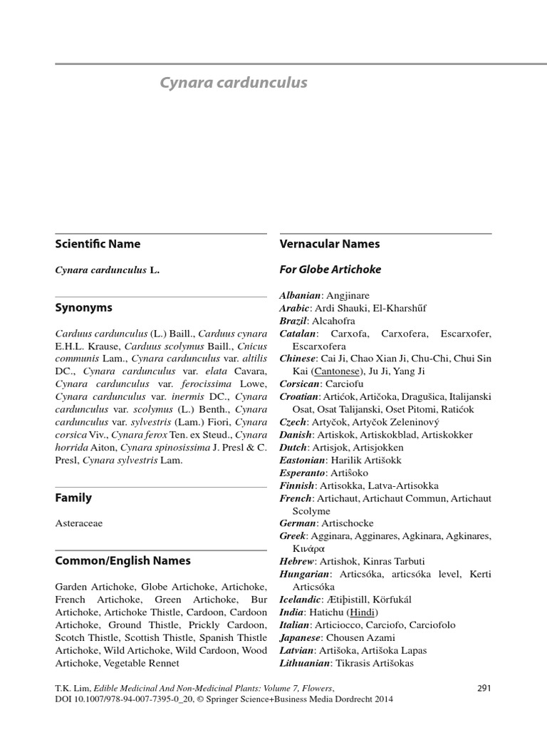 Cynara Cardunculus: Scientifi C Name Vernacular Names | PDF | Artichoke ...