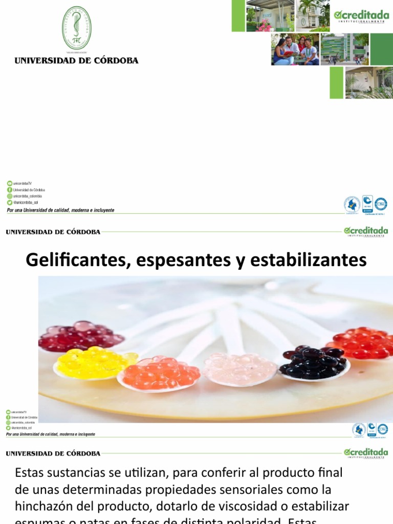 Gelificantes, Espesantes y Estabilizantes | PDF | Celulosa | Almidón