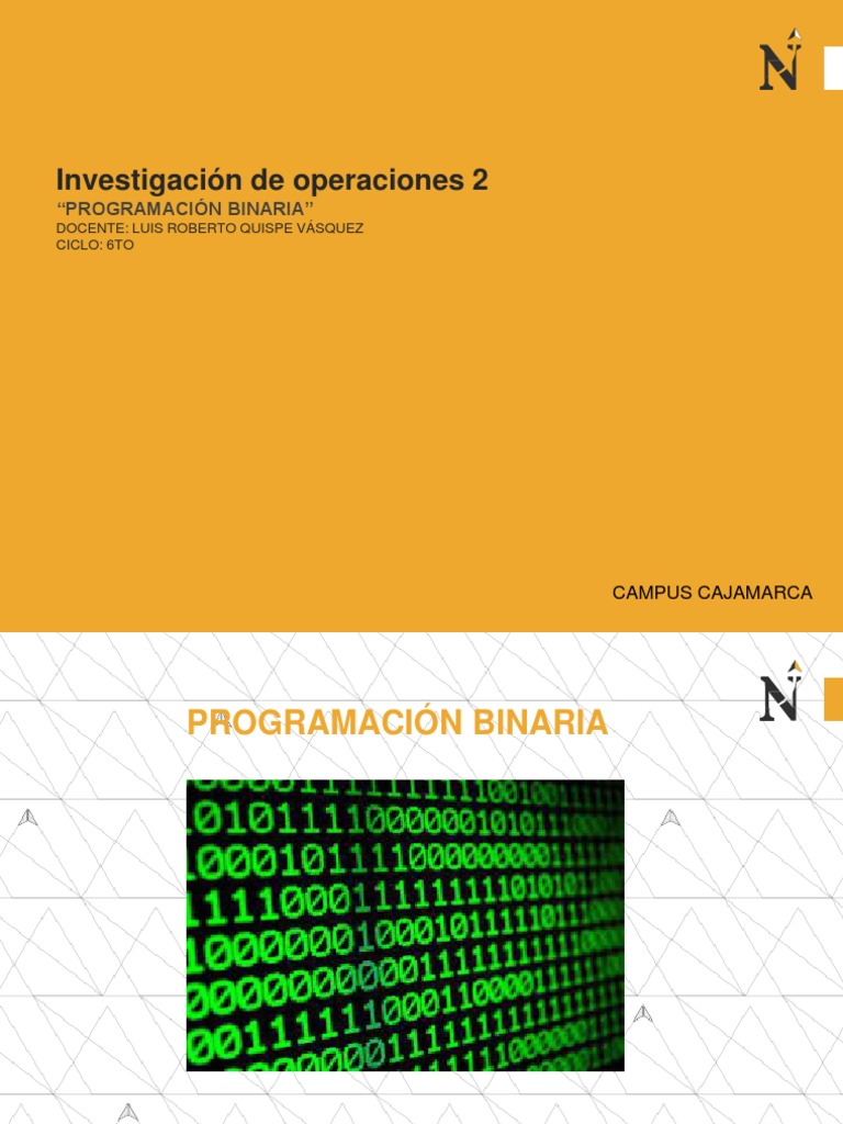 Programación Entera Binaria | PDF | Programación de computadoras | Science