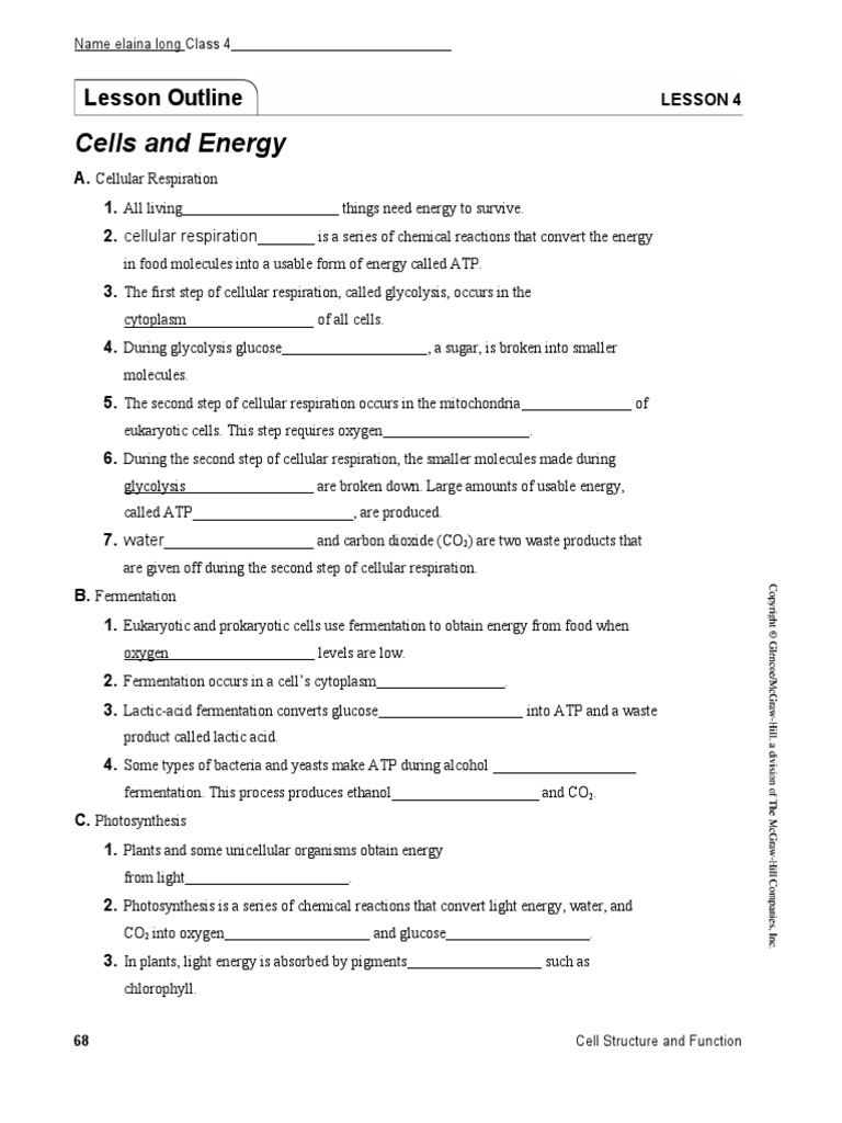 Cells, Energy, and Photosynthesis Overview | PDF | Cellular Respiration ...
