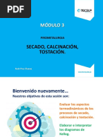 Secado Por Circulación Transversal | PDF | Física Aplicada e ...