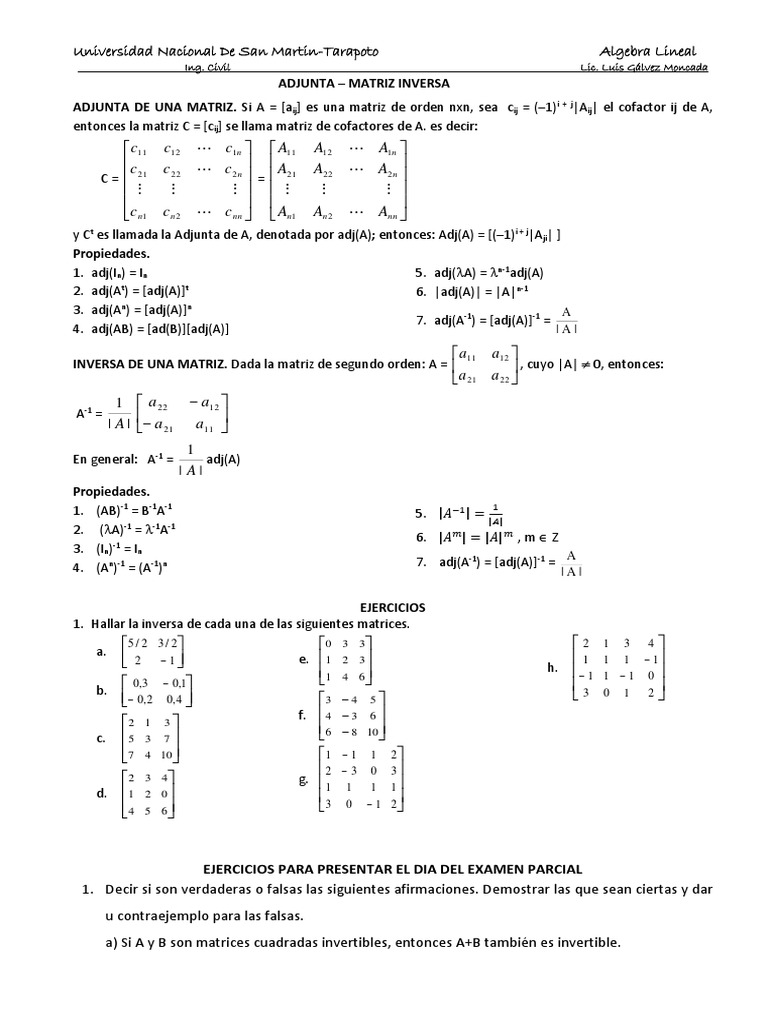 Matriz Adjunta | PDF | Matriz (Matemáticas) | Conceptos matemáticos