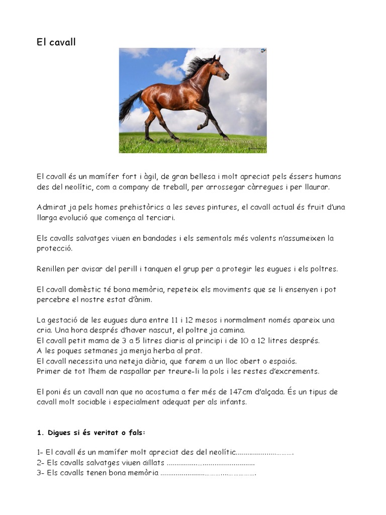 El Cavall CL | PDF