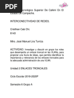 Redes Troncales: Conceptos y Configuración | PDF