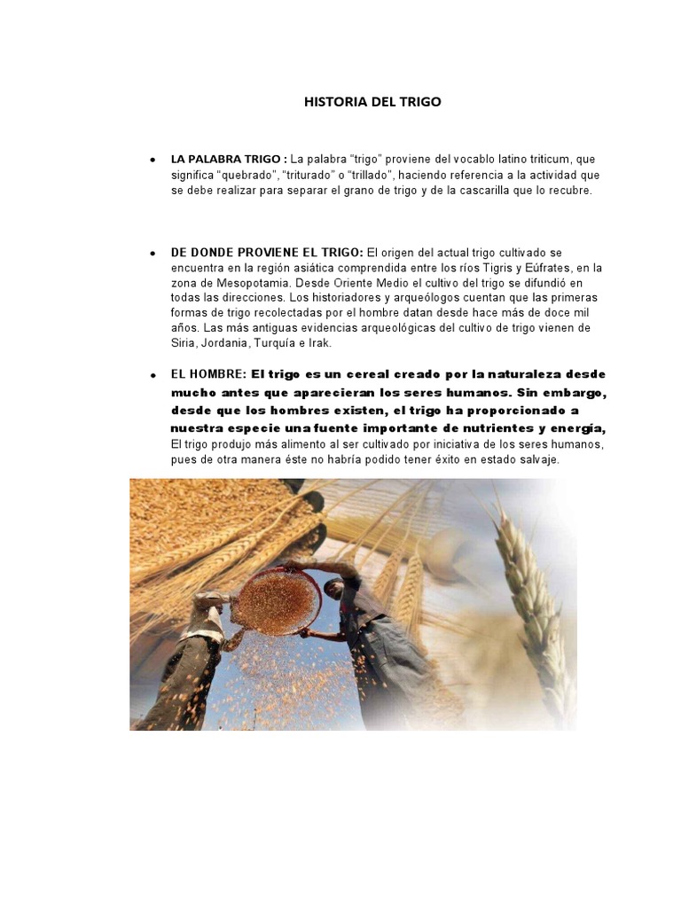 Origen e Historia del Trigo | PDF | Molino (molienda) | Trigo