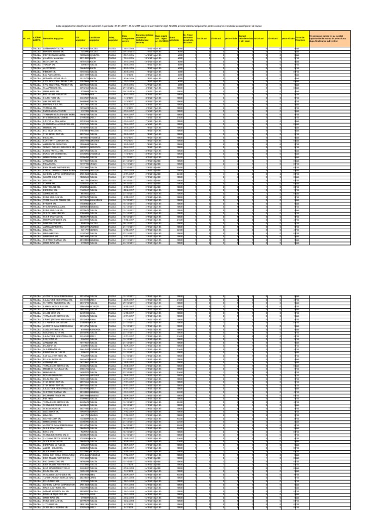 Tabel Centralizator Beneficiari Subventii AJOFM Tulcea | PDF ...