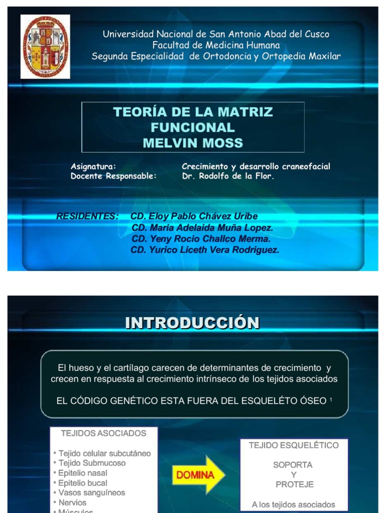 Teoría de la Matriz Funcional: determinantes del crecimiento ...