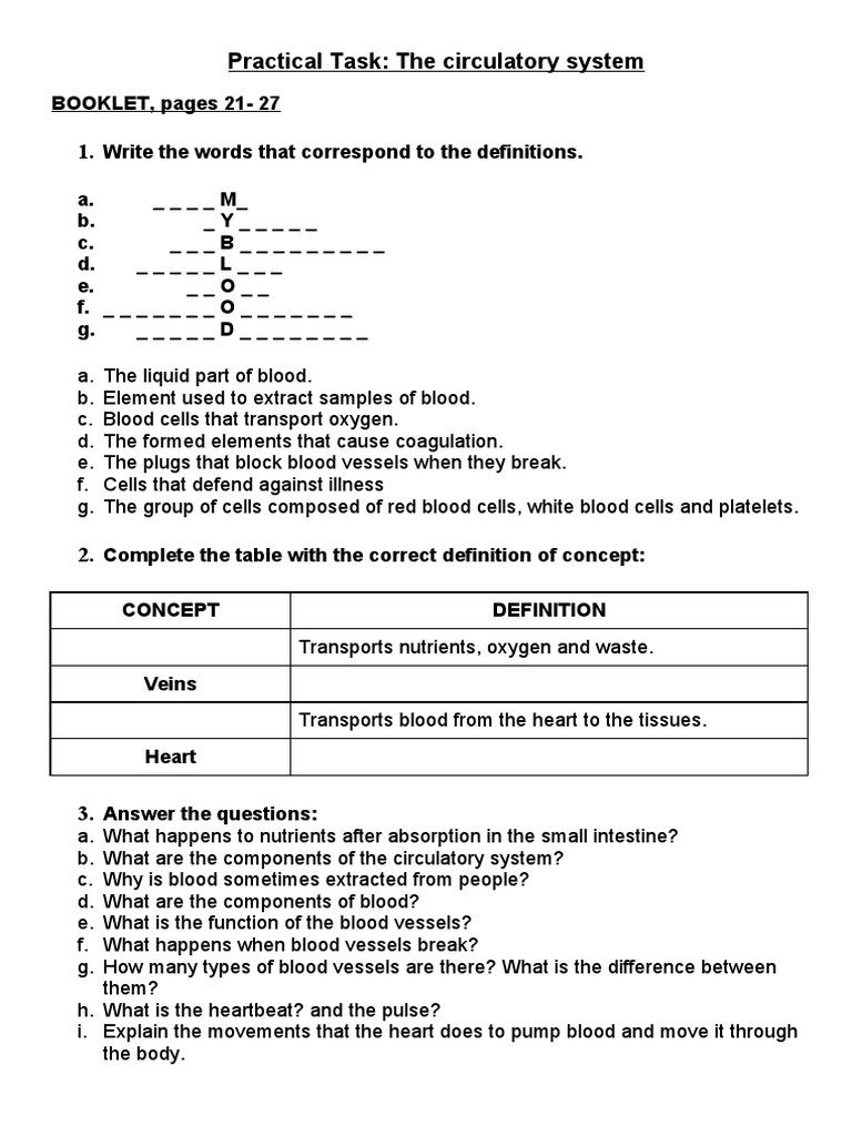 Practical Task Circulatory System | PDF | Blood Vessel | Blood
