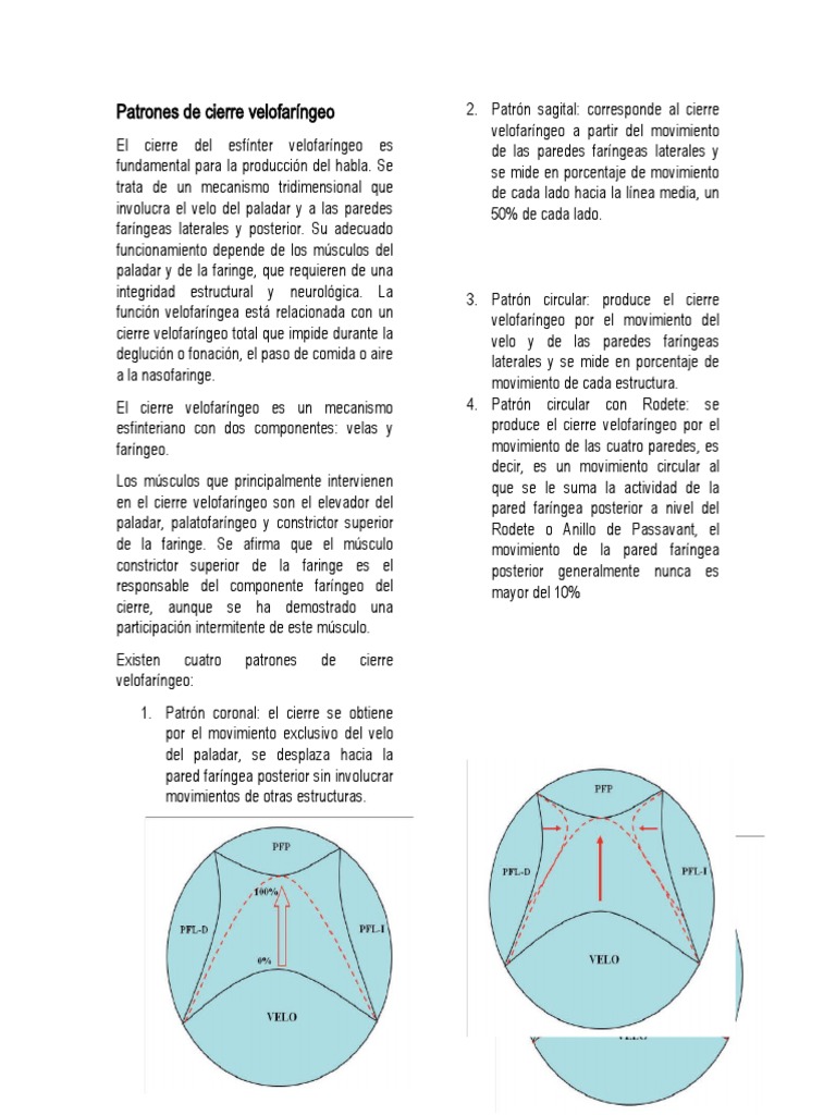 Patrones de Cierre Velofaríngeo | PDF | Anatomía de los primates ...