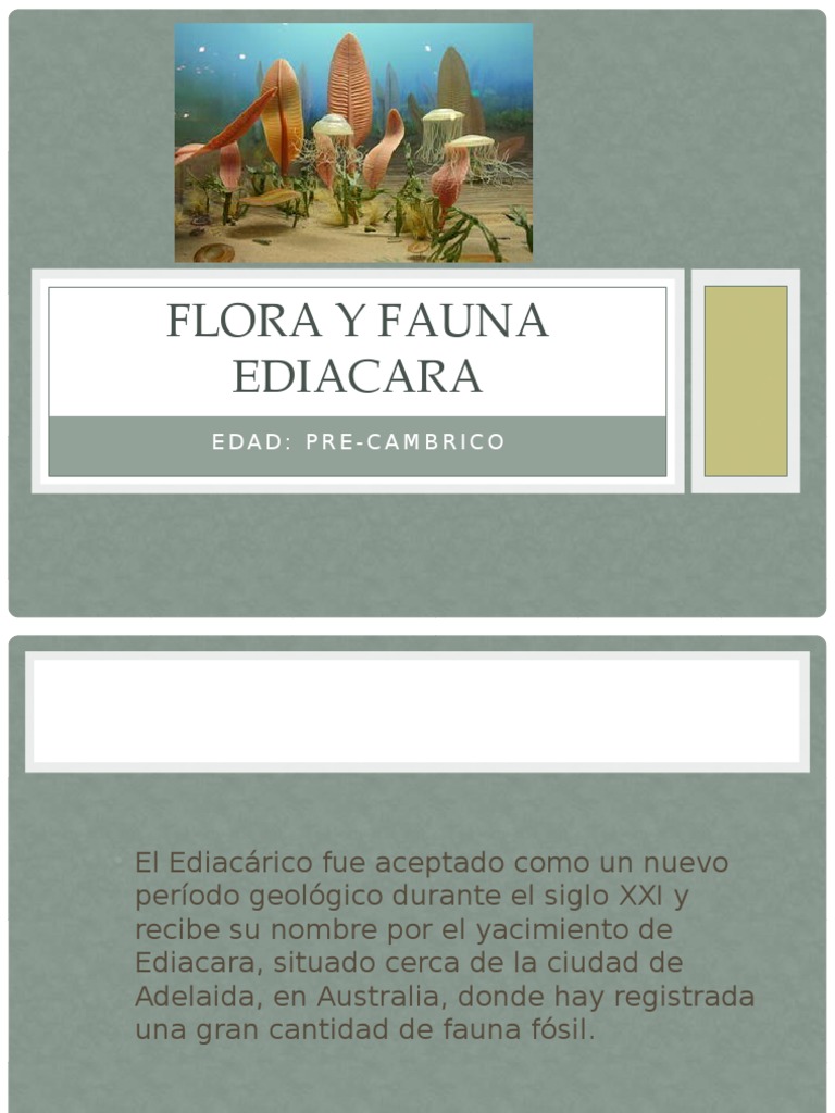 Fauna del Ediacárico: Orígenes y Características | PDF | Historia ...
