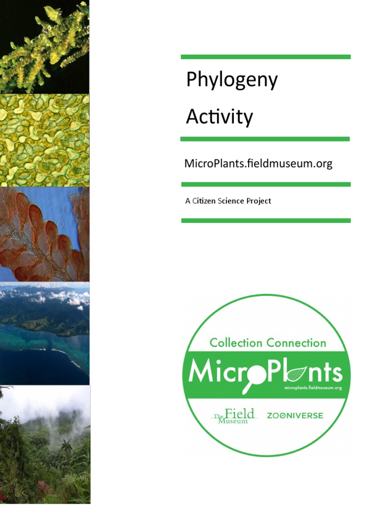 Phylogeny Activity: A Citizen Science Project | PDF | Sequence ...