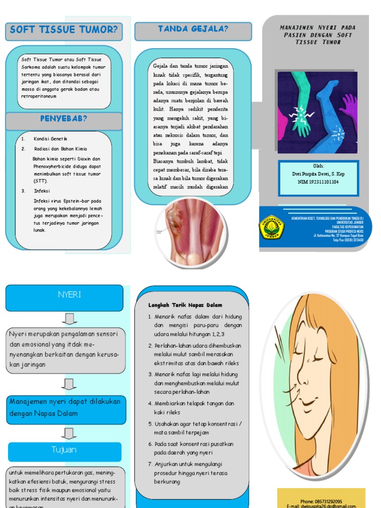 2 LEAFLET STT Dwipus BARU | PDF