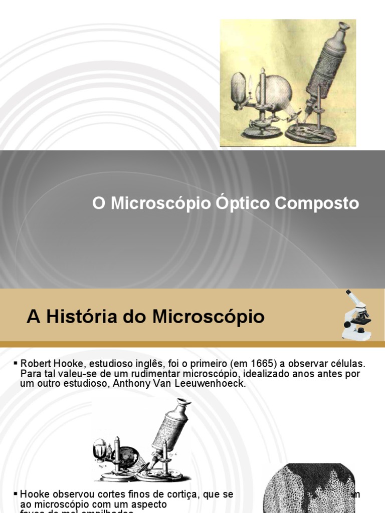 O Microscópio Óptico Composto | PDF | Microscópio | Ótica