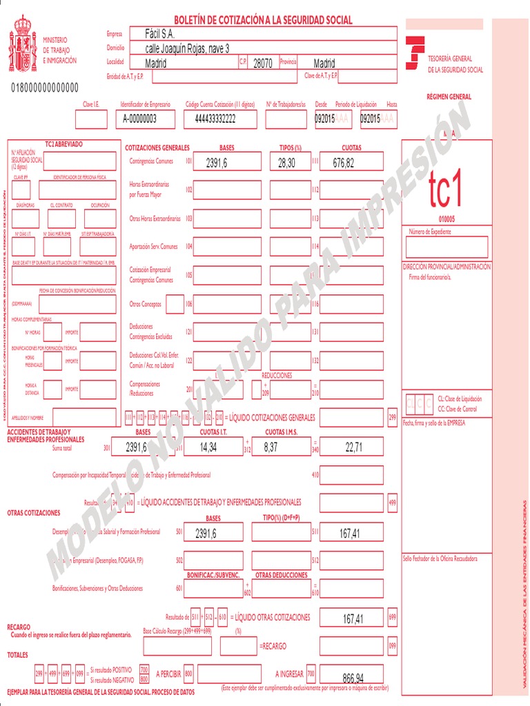 Modelo TC1 Pedro Giménez | Descargar gratis PDF | Etica Aplicada | Labor