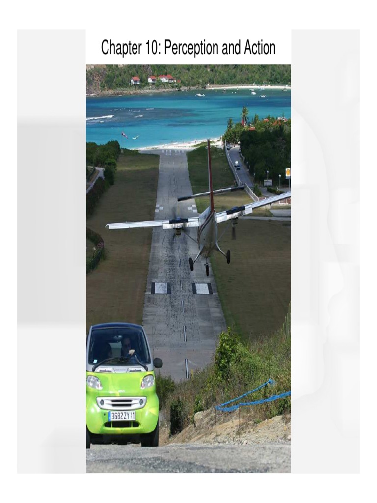 Chapter 10: Perception and Action | PDF | Perception | Visual Perception